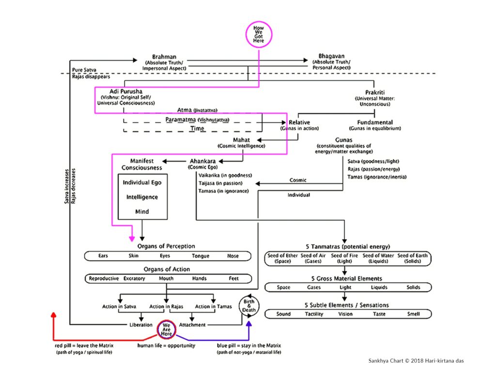 Sankhya Chart 060618 - HARI-KIRTANA DAS